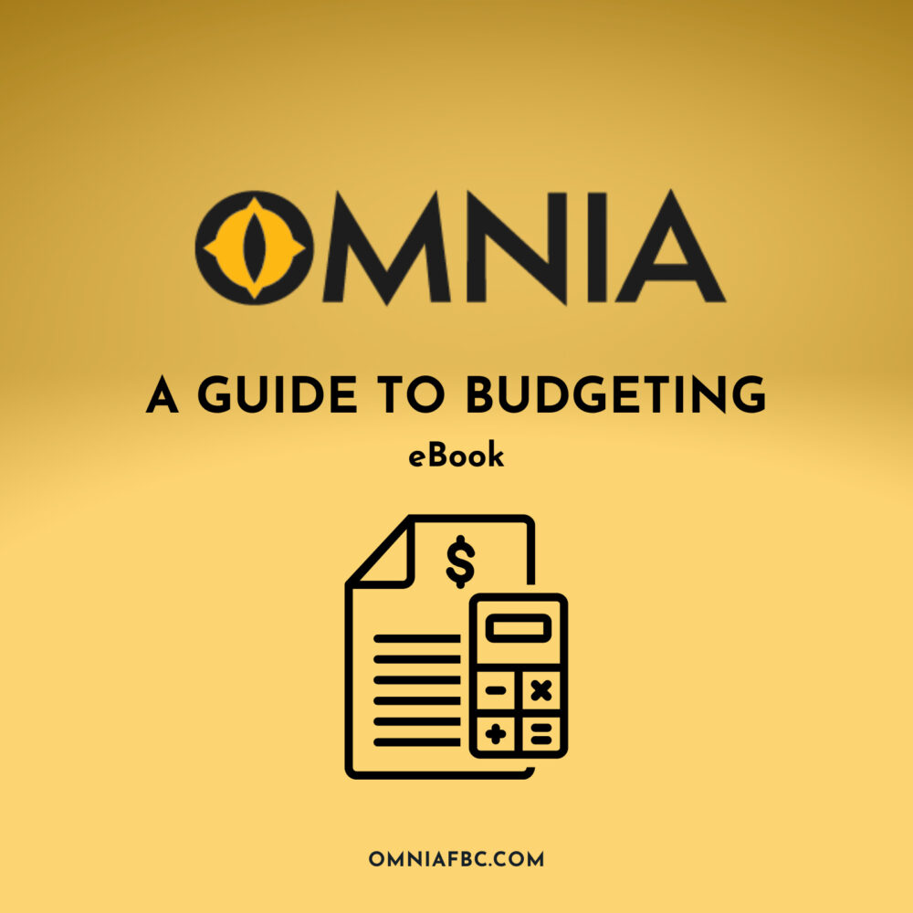 A Guide to Budgeting - Omnia Financial & Business Consulting